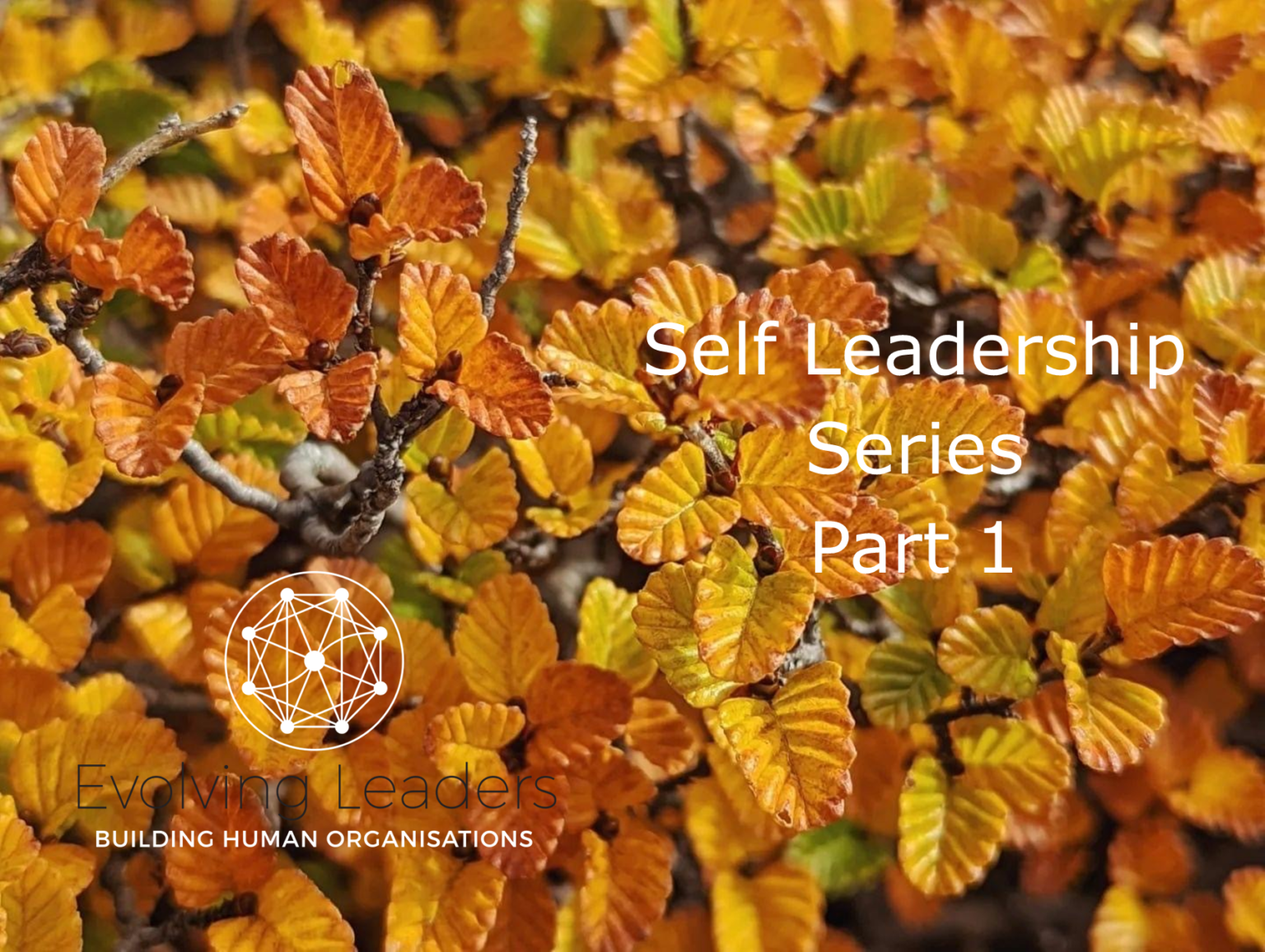 #5 What is self-leadership? - Evolving Leaders